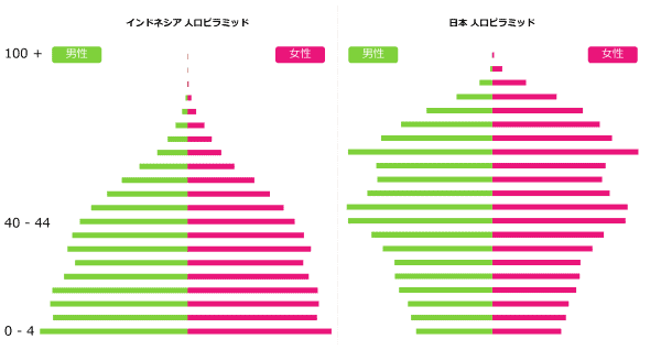 Comprehensive Analysis of Indonesia Demographic & Futures
